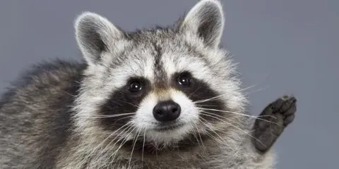 우블 | 단 하나뿐인 창작을 위한 주문서 폰디