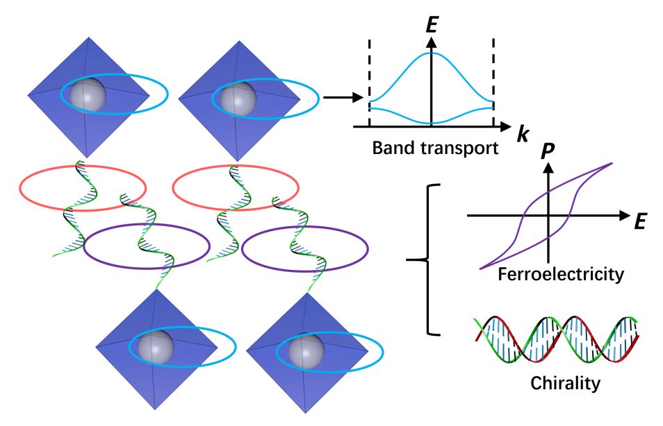 JASCO CD를 이용한 Chiral Perovskite 물질 분석. : 네이버 블로그
