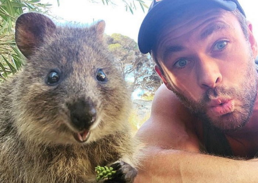 👏 ‘토끼가 죽었어’ The rabbit died