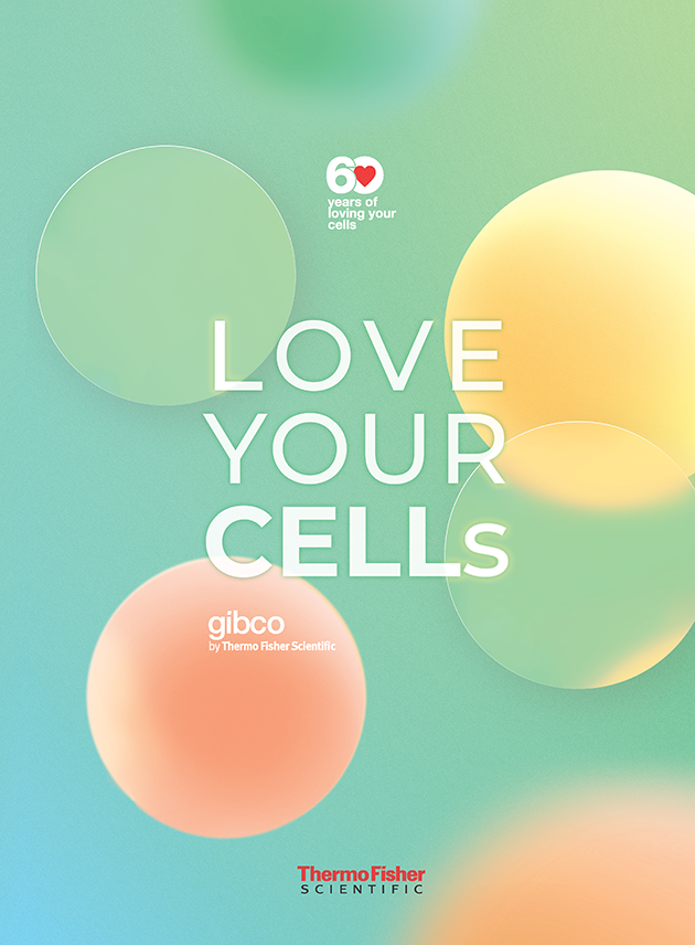 LOVE YOUR CELLs Package 할인 이벤트! : 뉴스레터