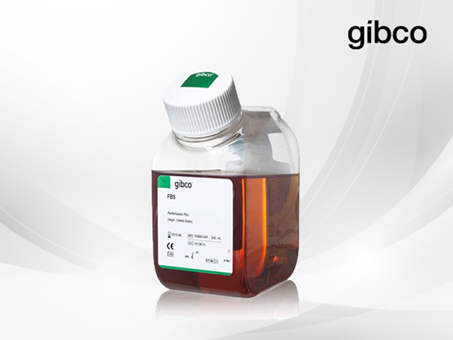 LOVE YOUR CELLs Package 할인 이벤트! : 뉴스레터