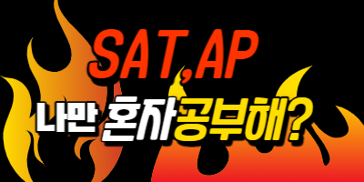 나만 AP, SAT 혼자 공부해...?