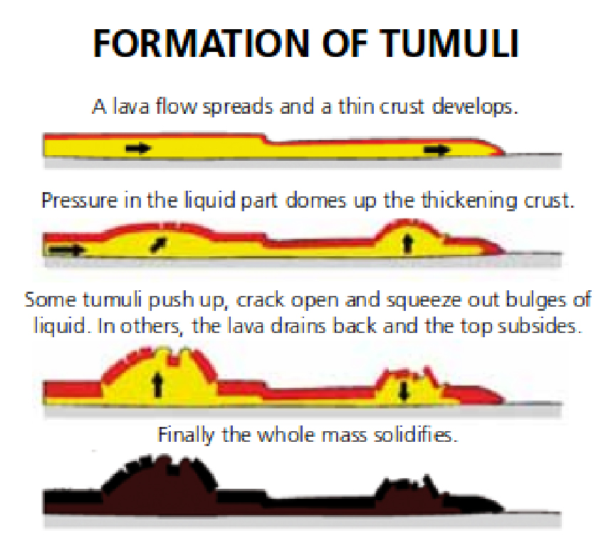 GC82177 Tumulus (용암언덕) (Earthcache) in Jejudo, South Korea created by ...