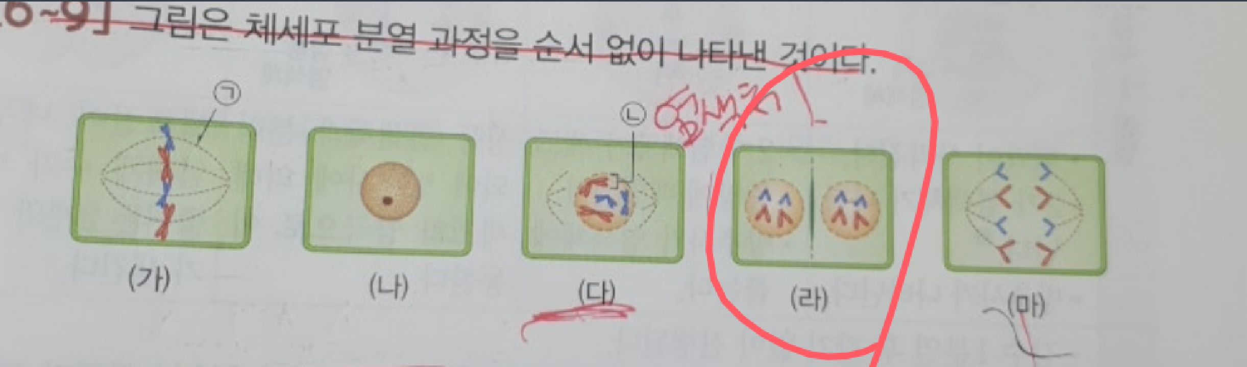 과학 중3 과학 생식과 발생 오누이